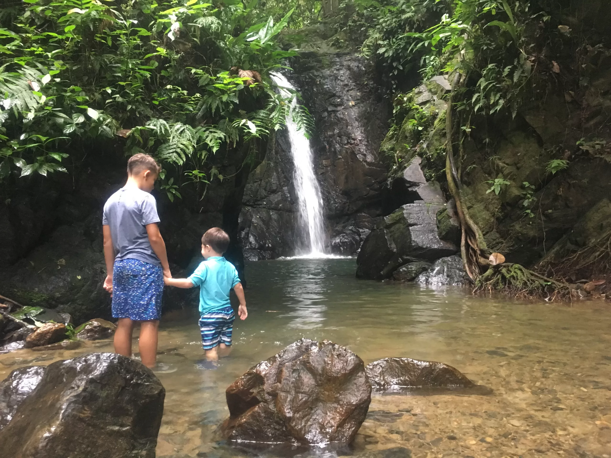 7 Cascadas de Naranjal (Cerro de Hayas) - DescubrEcuador